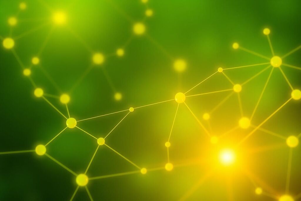 Visualizing the Green Algorithm: Peering into the Heart of Sustainable ...